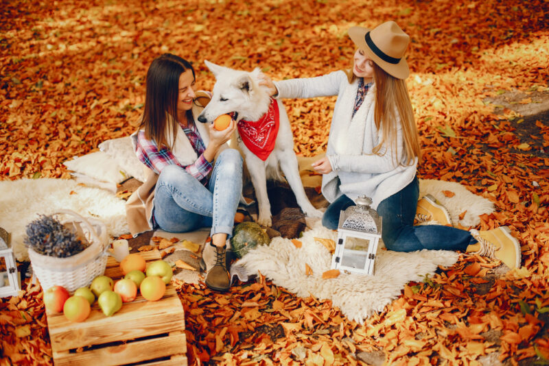 75 Cozy Self Care Ideas for Fall (that You'll Love) - Mind Space Cafe