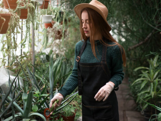 A Beginner's Guide to Become a Witch (Including Books that Helped Me ...